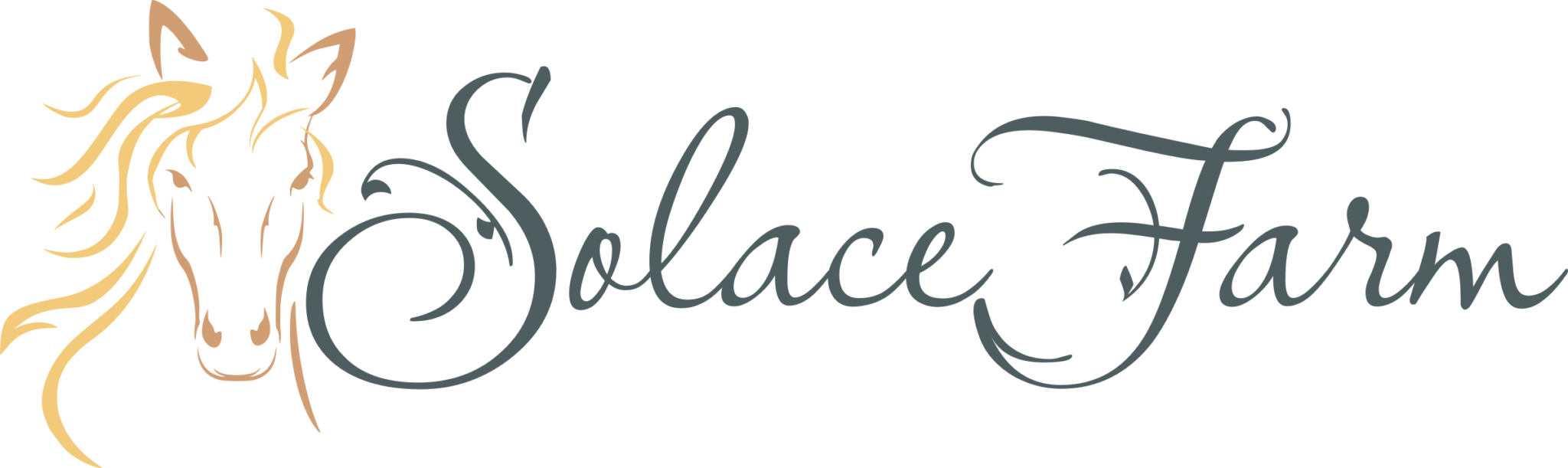 Activities - NDIS Funded Activities Sunshine Coast - Solace Farm